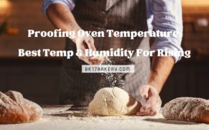 Bread Proofing Temperature: Best Temp & Humidity For Rising
